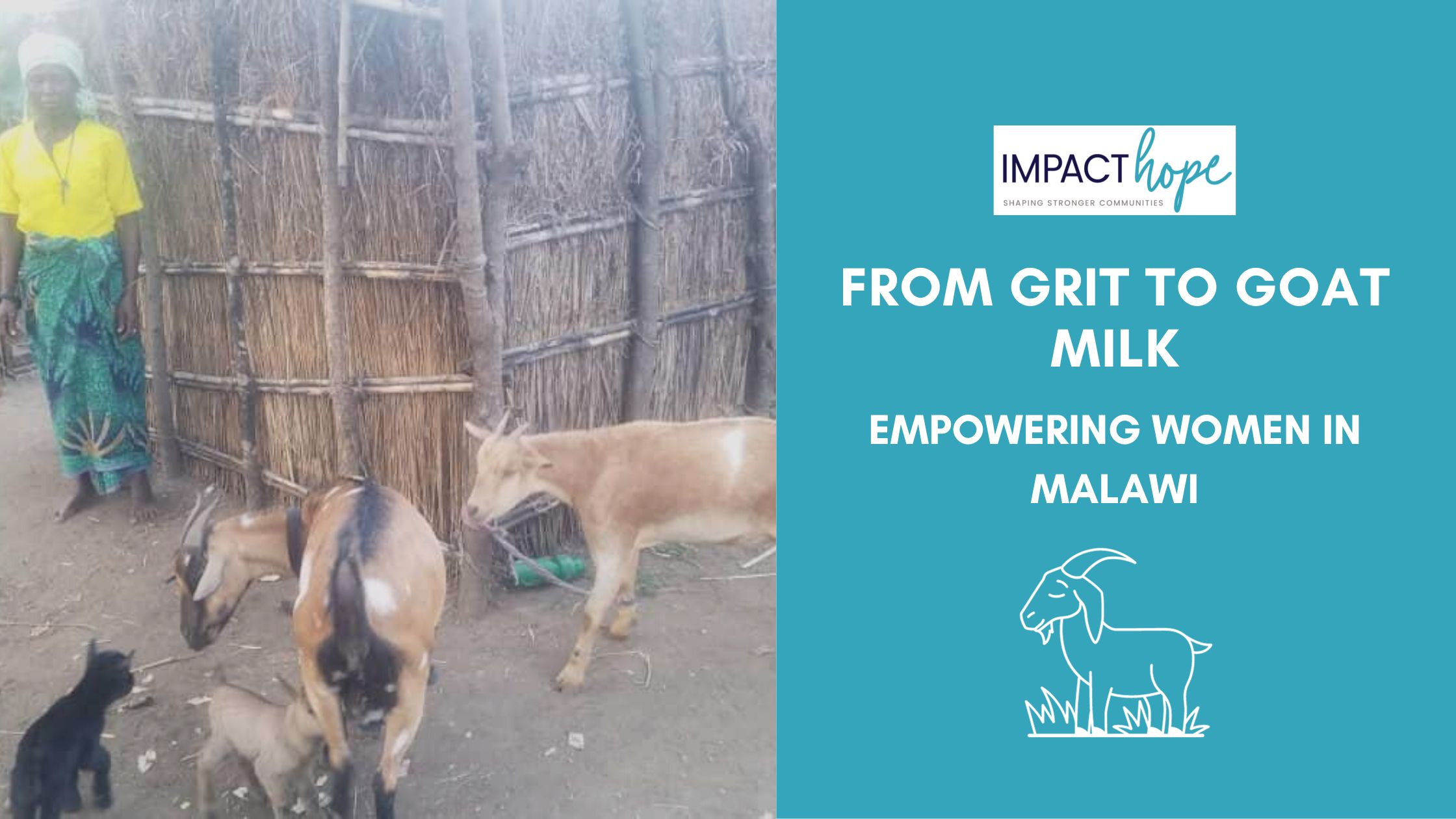 From Grit to Goat Milk: Empowering Women in Malawi | ImpactHope ...